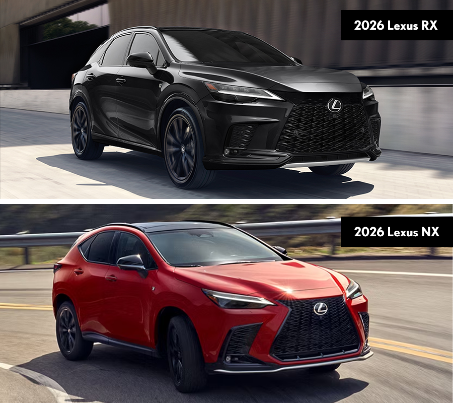 Compare Lexus RX vs. Lexus NX | Lexus Dealer Near Boerne, TX